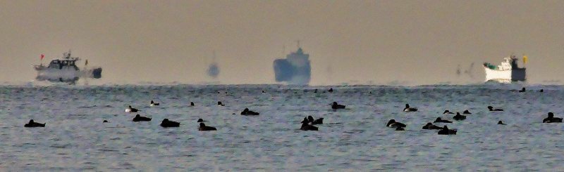 Cold weather creates mirages on Tokyo Bay - The Mainichi
