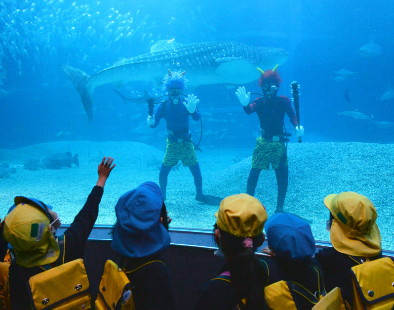 Photo Journal: Devilish diving - The Mainichi