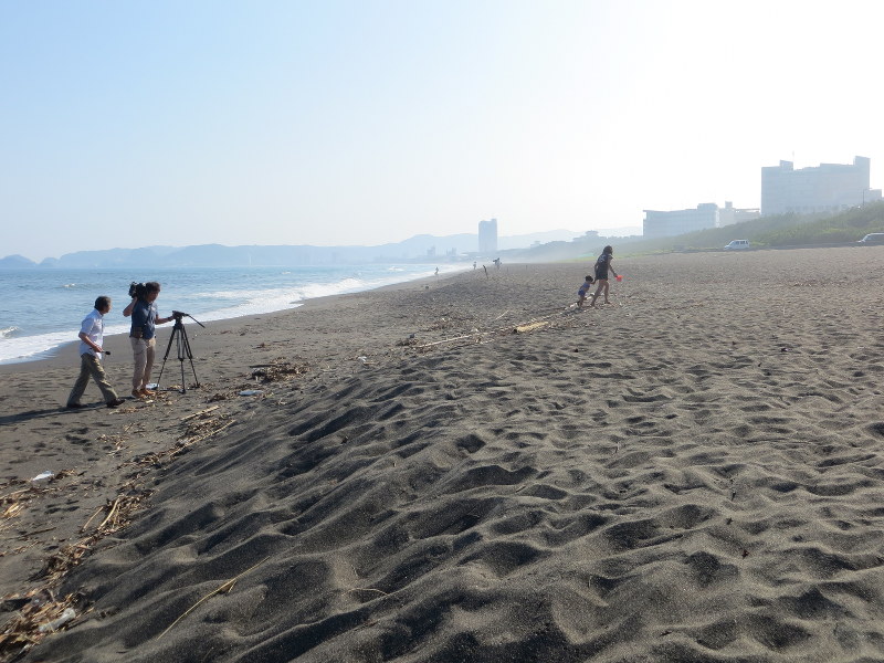 Mom, 2 kids die during family beach trip in suspected murder-suicide ...