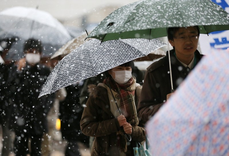 Photo Special: Tokyo sees first November snow in 54 years - The Mainichi