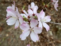 The Mainichi - Top News & Stories from Japan