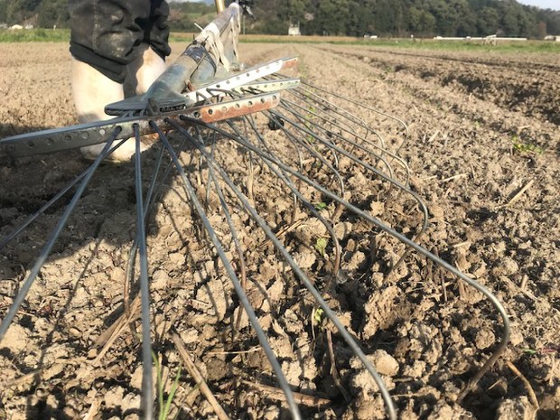 Interplant 'weeding broom' makes farming work efficient, easy - The ...