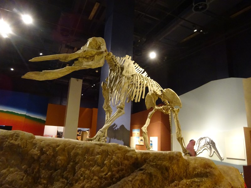 In Photos: The changing face of Saudi Arabia - The Mainichi