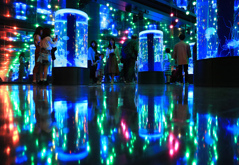 Photo Journal: Glow with the flow - The Mainichi