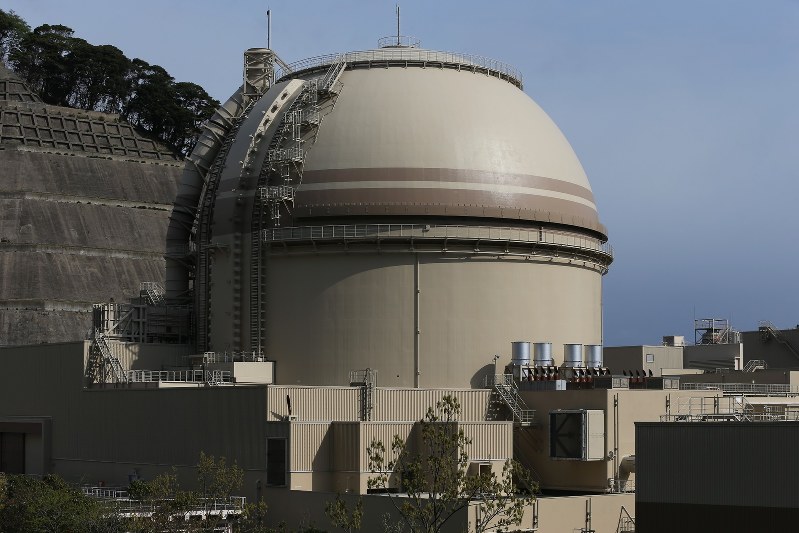 Low-water alarm halts Oi nuke plant reactor soon after restart - The ...
