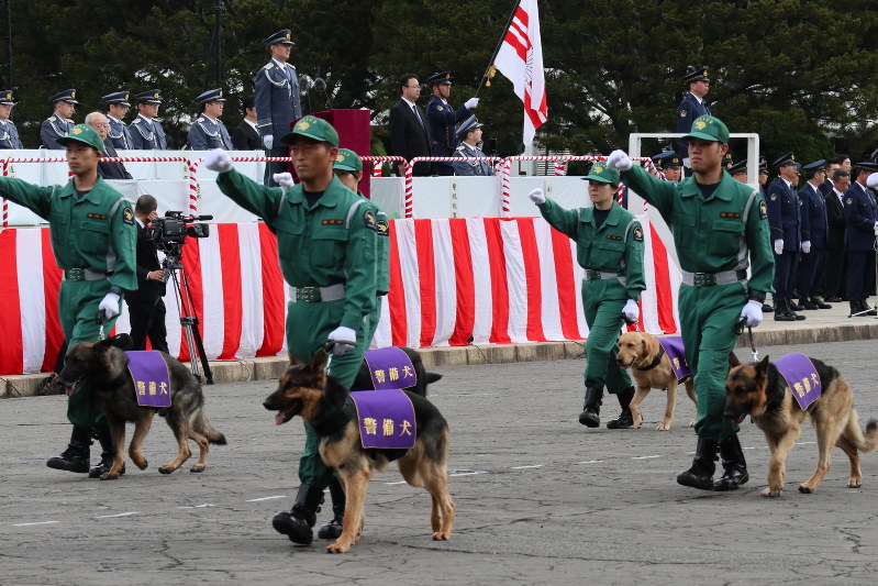 Photo Journal: Keen canines - The Mainichi