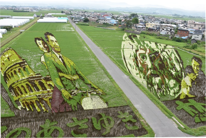 In Photos: Rice field art images from around Japan - The Mainichi