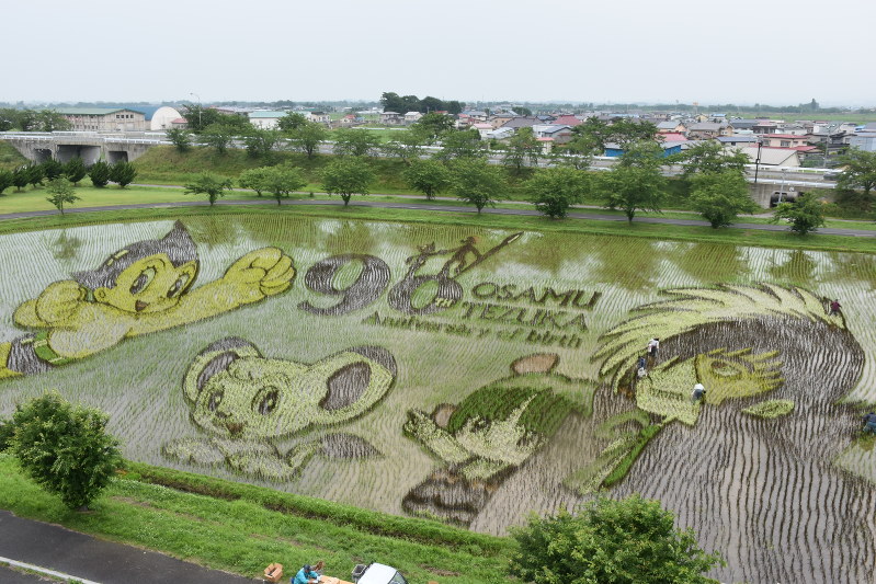 In Photos: Rice field art images from around Japan - The Mainichi