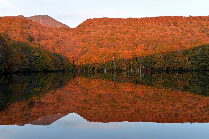 In Photos: Seasonal shine in northern Japan - The Mainichi