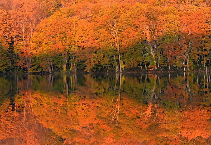 In Photos: Seasonal shine in northern Japan - The Mainichi