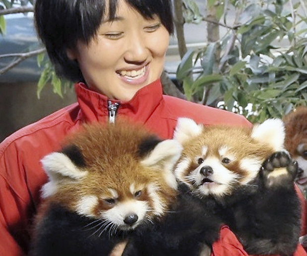 Photo Journal: Furry fame - The Mainichi