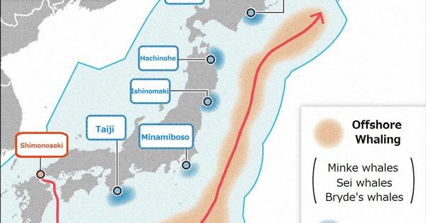 Japan's IWC withdrawal raises concerns about whaling's commercial ...