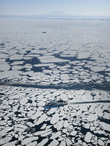 Going with the flow: Drift ice reaches northeast Hokkaido - The Mainichi