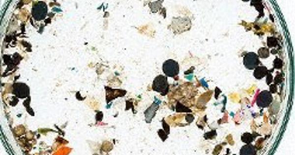Microplastics polluting Japanese rivers, nearby seas: researcher - The ...