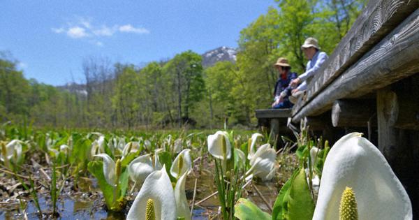 Japan Photo Journal: Wild and wonderful - The Mainichi