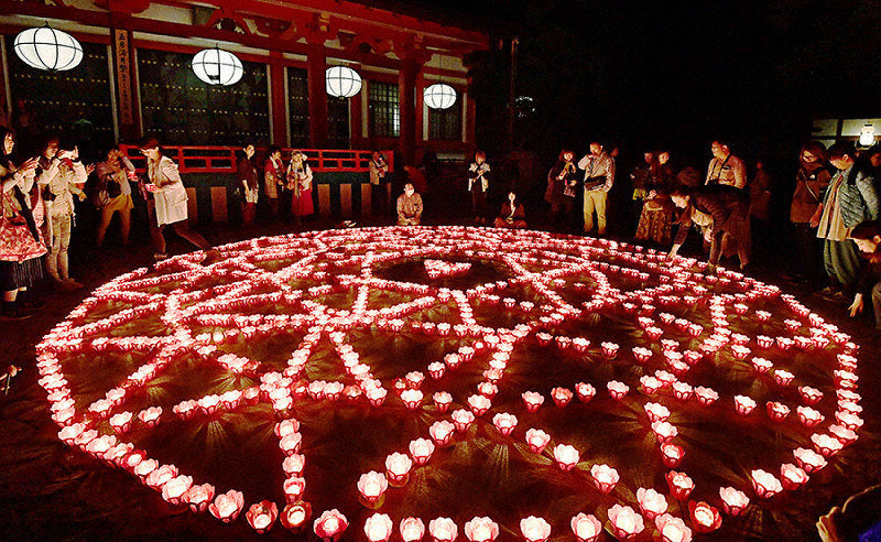 Japan Photo Journal: Spring symbol - The Mainichi
