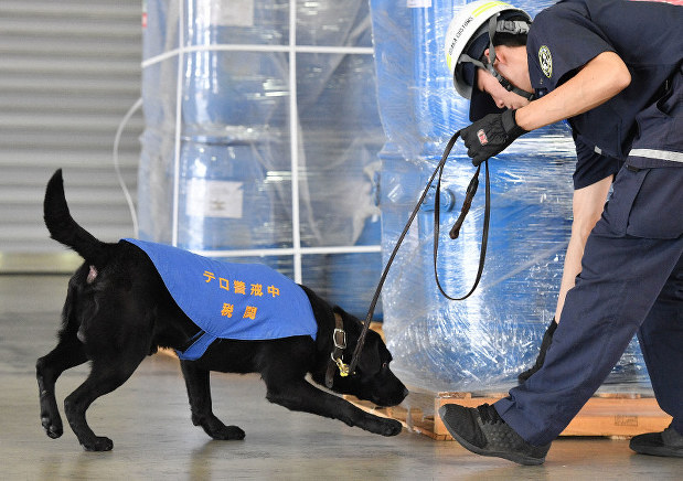 In Photos: Sniffer dogs boost security ahead of Osaka G-20 meet - The ...