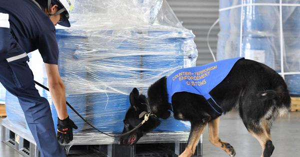 In Photos: Sniffer dogs boost security ahead of Osaka G-20 meet - The ...