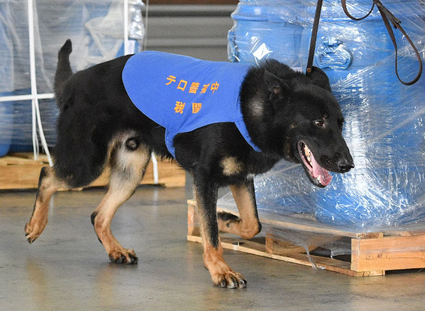 In Photos: Sniffer dogs boost security ahead of Osaka G-20 meet - The ...