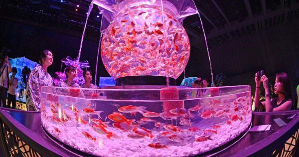 In Photos: Futuristic fish display - The Mainichi