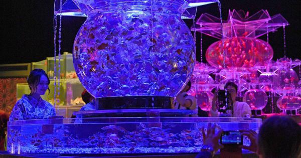 In Photos: Futuristic fish display - The Mainichi