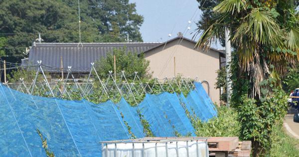 Police launch murder probe after couple stabbed at home in eastern ...