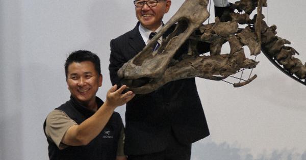 In Photos: Meet 'Kamuysaurus,' Japan's largest fossilized dinosaur ...