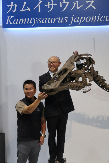In Photos: Meet 'Kamuysaurus,' Japan's largest fossilized dinosaur ...