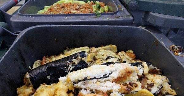 Cutting food waste, overeating could help eliminate famine: researchers ...