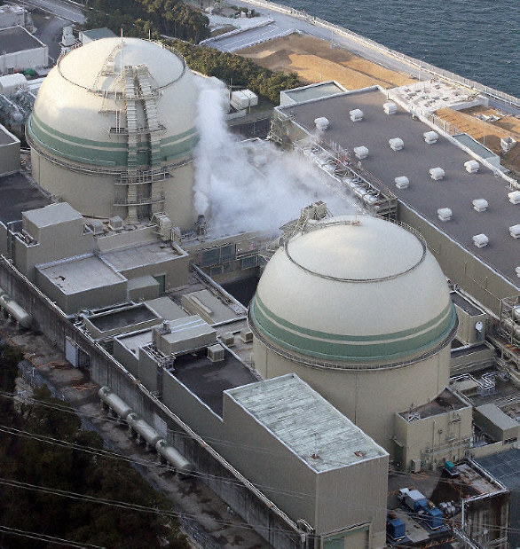 Japan nuke agency exec added laxer option to closed-door NRA meet on ...