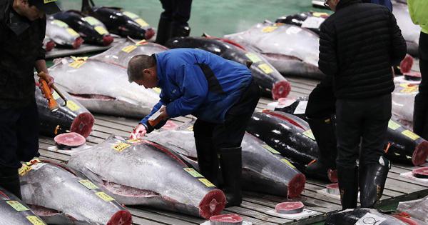 In Photos: Toyosu fish market marks 1-year anniversary since opening ...