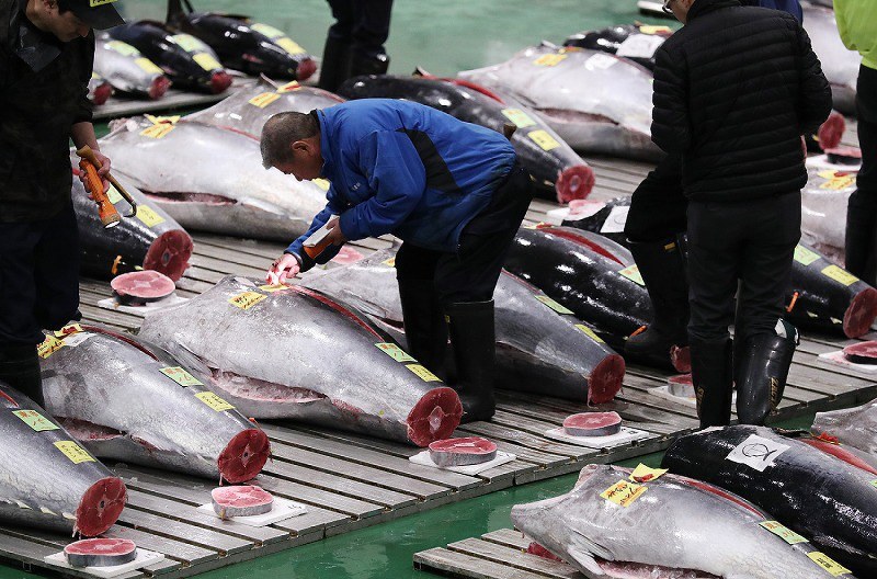 In Photos: Toyosu fish market marks 1-year anniversary since opening ...