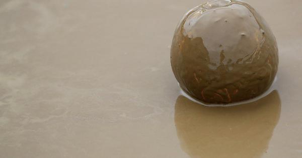 In Photos: Japan's week in pictures - The Mainichi