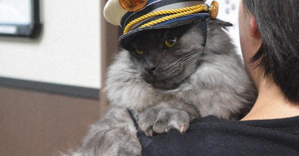 Shokora the cat soaks up the attention as northern Japan 'station ...