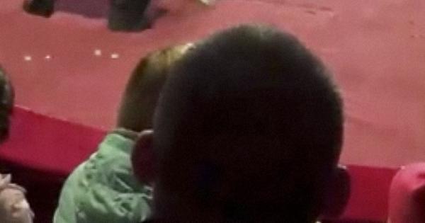 Bear attacks trainer at Russian circus show - The Mainichi