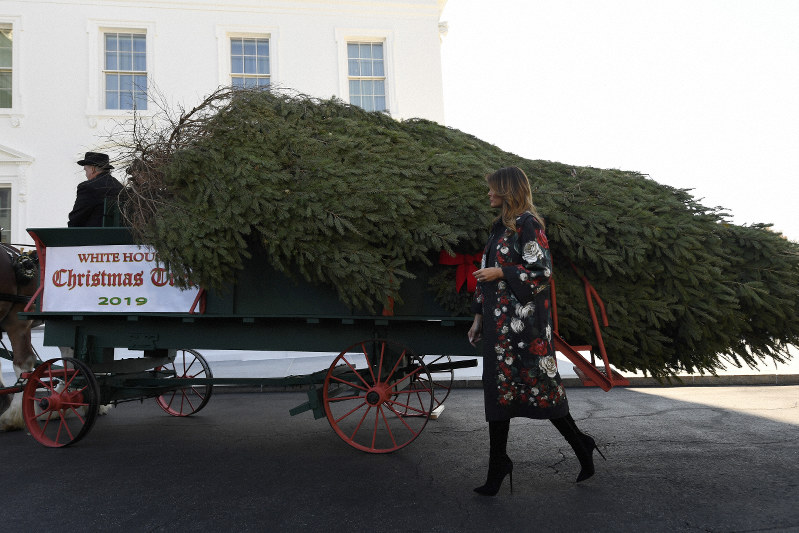 Melania Trump receives official White House Christmas tree - The Mainichi
