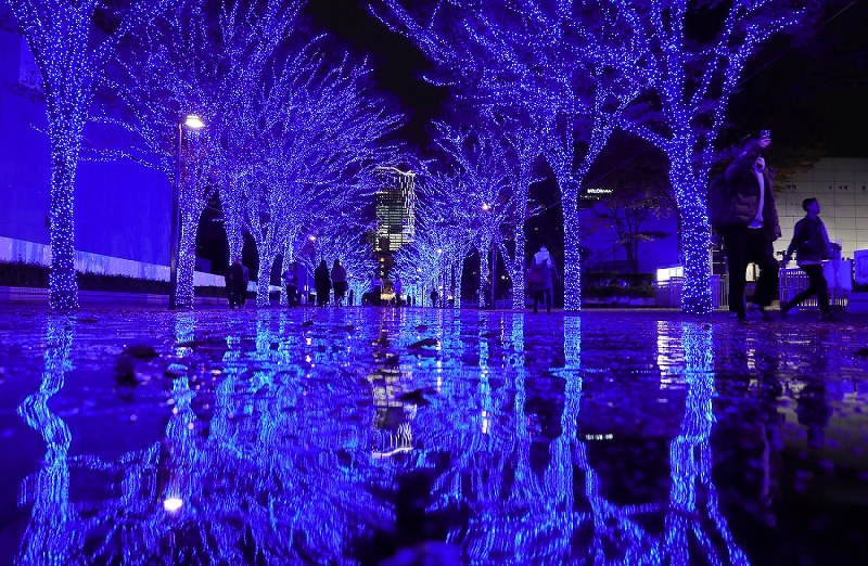 In Photos: Street and park near Shibuya Station lit up in blue - The ...