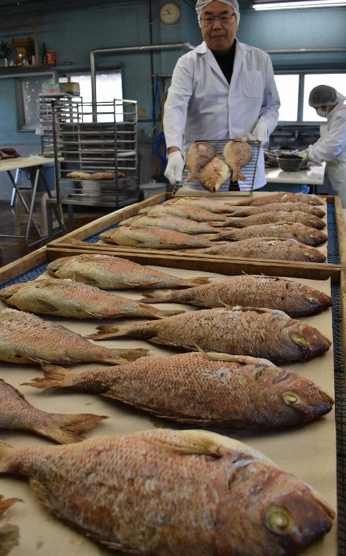 Fish festivities: Production of baked sea bream at peak in west Japan ...