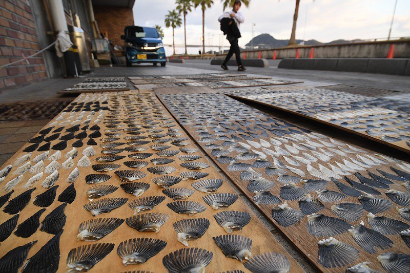 In Photos: Dried puffer fish fins ready to soak up the sake in western ...