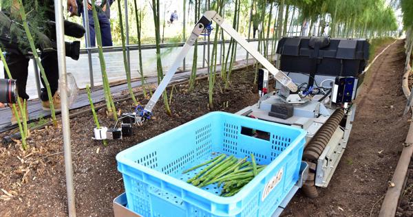 Japan tech venture gets autonomous vegetable harvesting robot into the ...