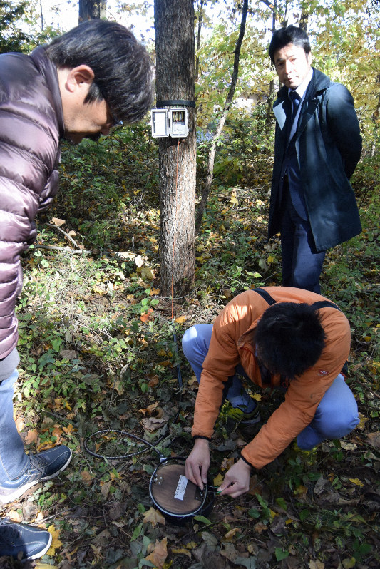 SoftBank, Japan tech firm develop sensor to send message when animal ...