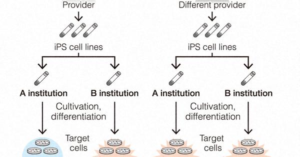 Kyoto Univ.-distributed iPS cells found with abnormalities after ...