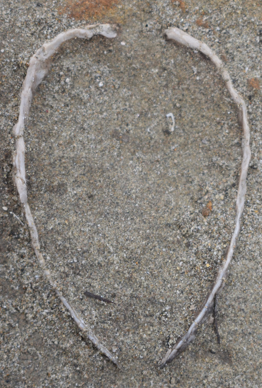 Cool natural rock formations a hidden gem along west Japan coastline ...