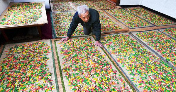 Japan Photo Journal: Rice rainbow - The Mainichi