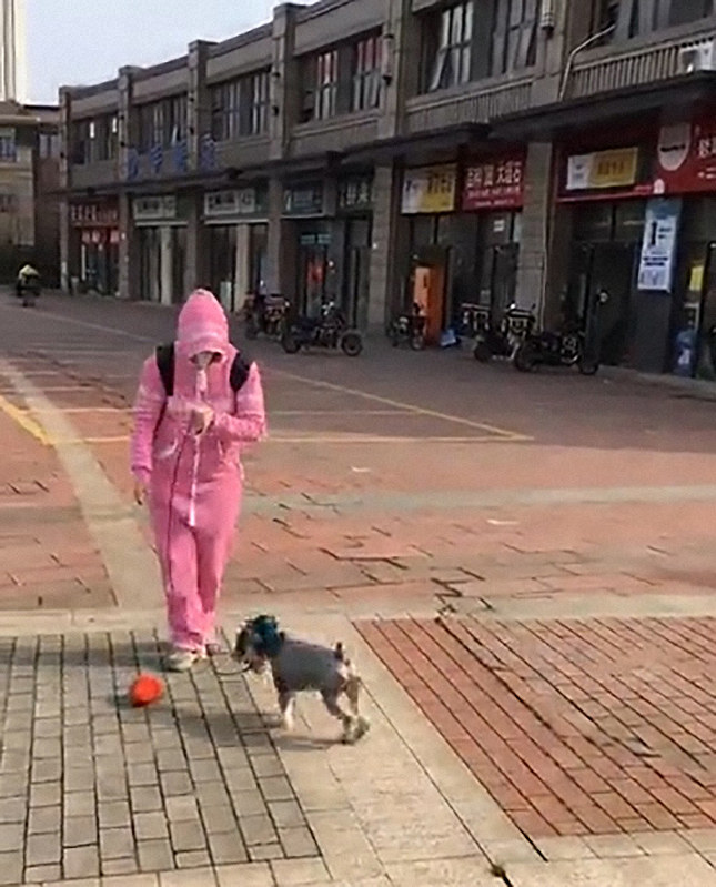 Wuhan citizens' group rushes to save scores of pets left home alone in ...