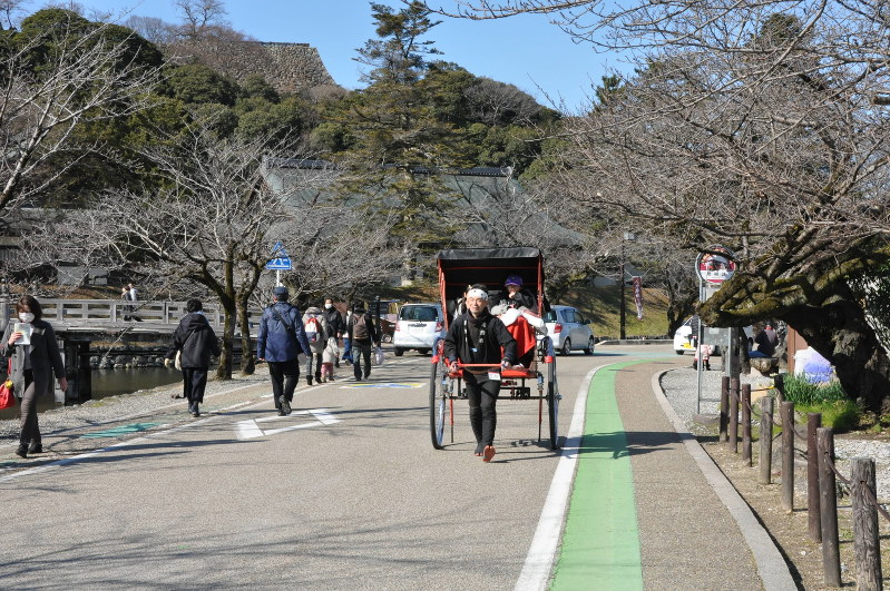 In Photos: West Japan's cat mascot 'Hikonyan' attracts visitors from ...