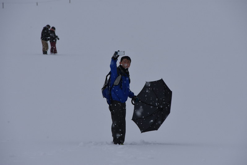 In Photos: Snow blankets Japan's famous Tottori Sand Dunes - The Mainichi