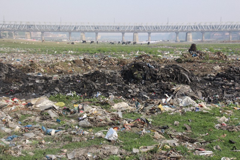 Healing waters: India's Ganges River cleanses itself during virus ...