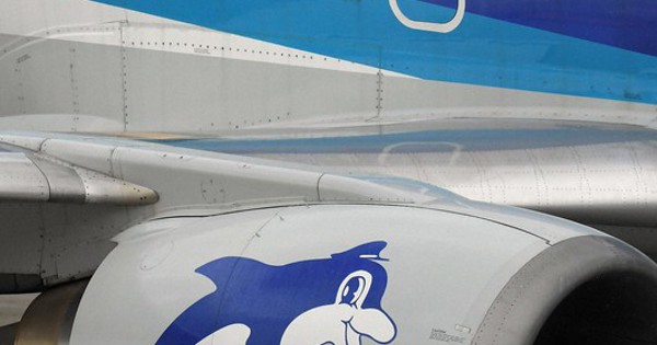 In Photos: Fans bid farewell to 'Super Dolphin' aircraft in southwest ...