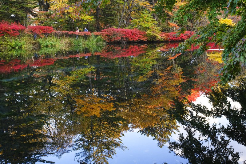 In Photos: The colorful silence of autumn in central Japan's Nagano ...